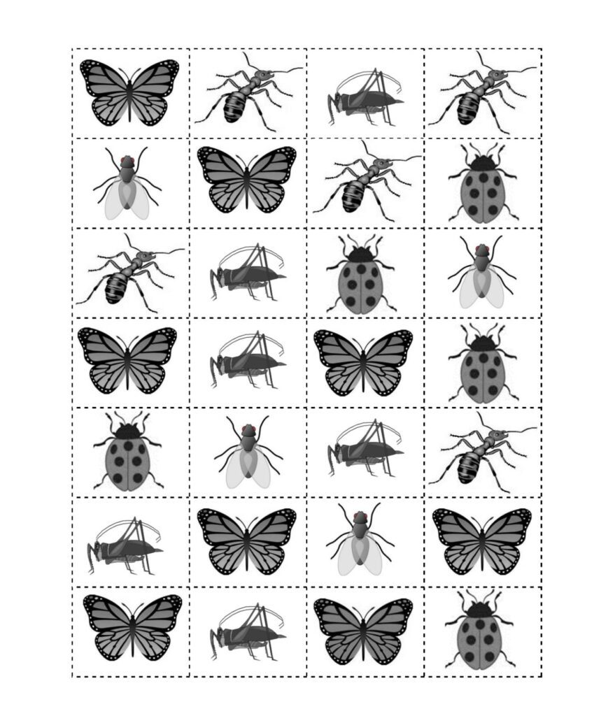 Represent and Interpret Data - Common Core Math Activities