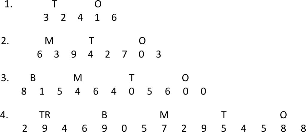 Say And Write Large Numbers Common Core Math Activities